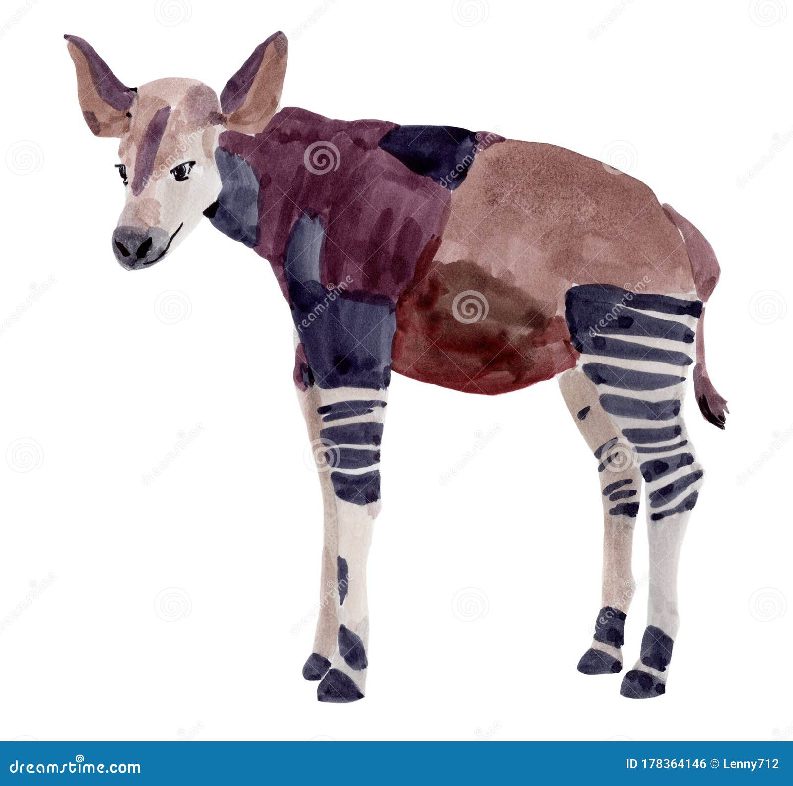 Watercolor Illustration of Okapi Stock Illustration - Illustration of ...