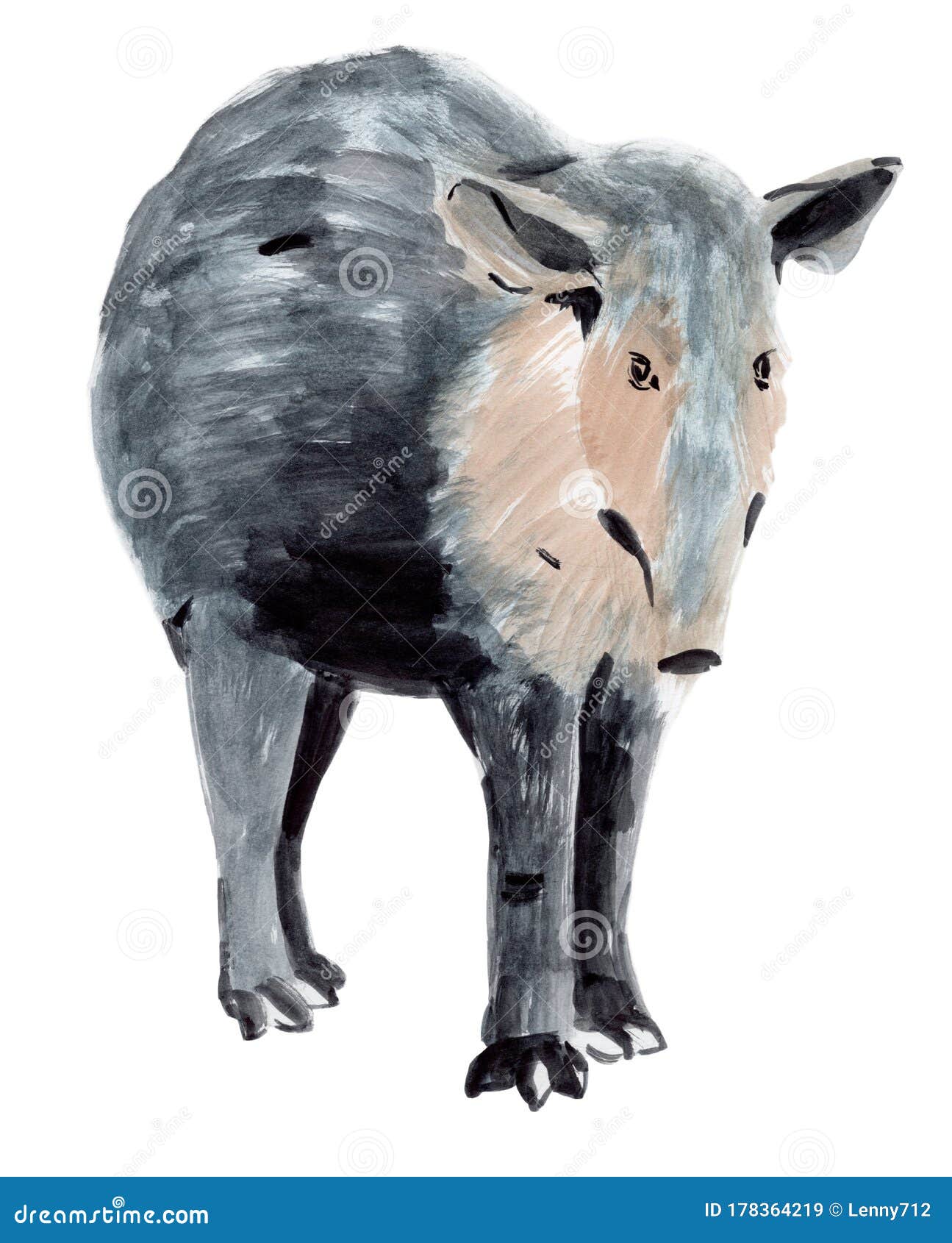 Vintage Tapir Tapirus Americanus Wild Animal. America. Hand Drawn ...