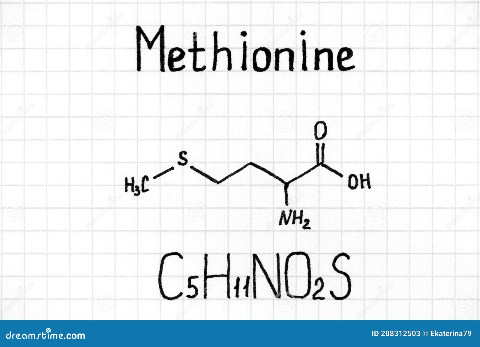 Methionine Molecular Structure, 3d Model Molecule, Proteinogenic Amino ...