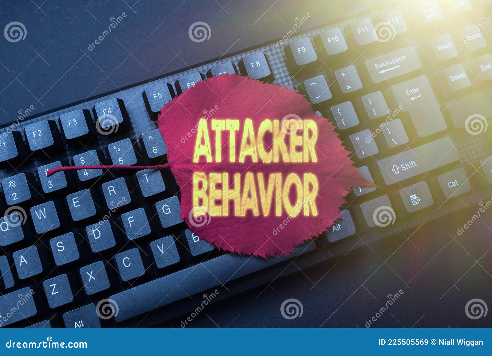 Conceptual Display Attacker Behavior. Conceptual Photo Analyze and ...