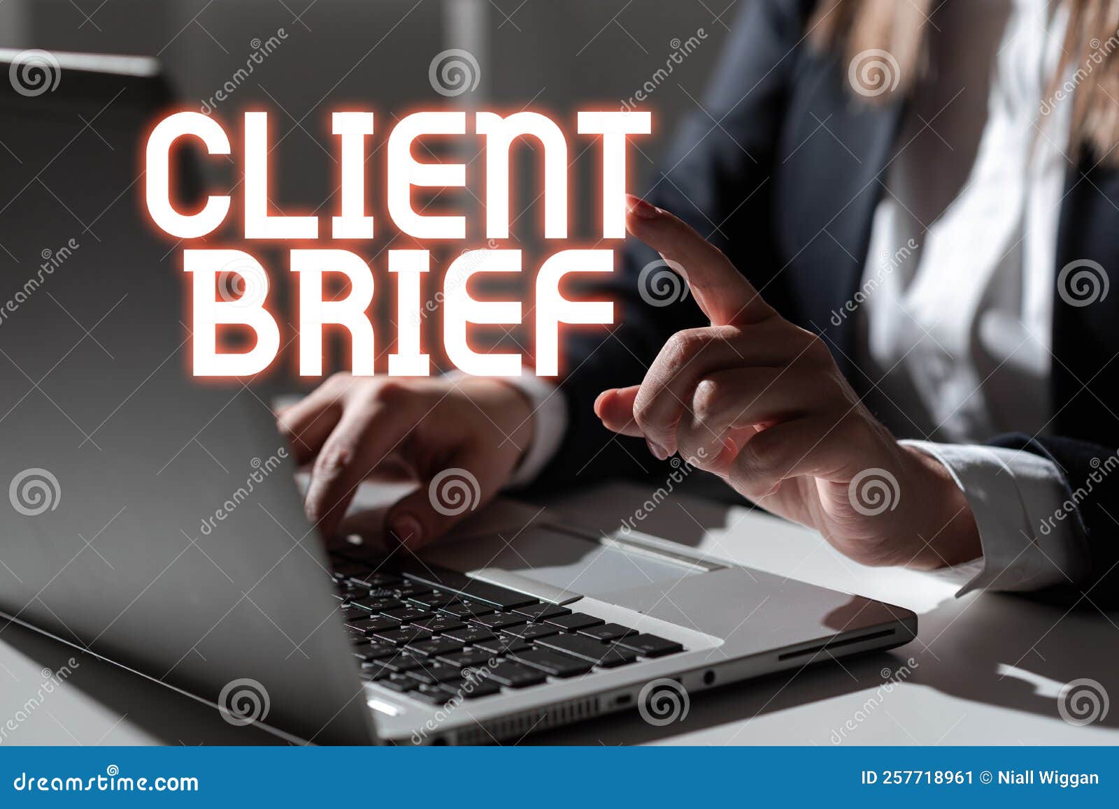 Handwriting Text Client Brief. Business Overview the Document Granted ... Handwriting Text Client Brief. Business Overview the Document Granted ...
