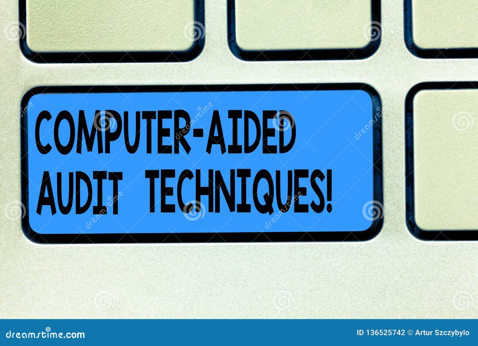 Handwriting Text Computer Aided Audit Techniques. Concept Meaning Using ...