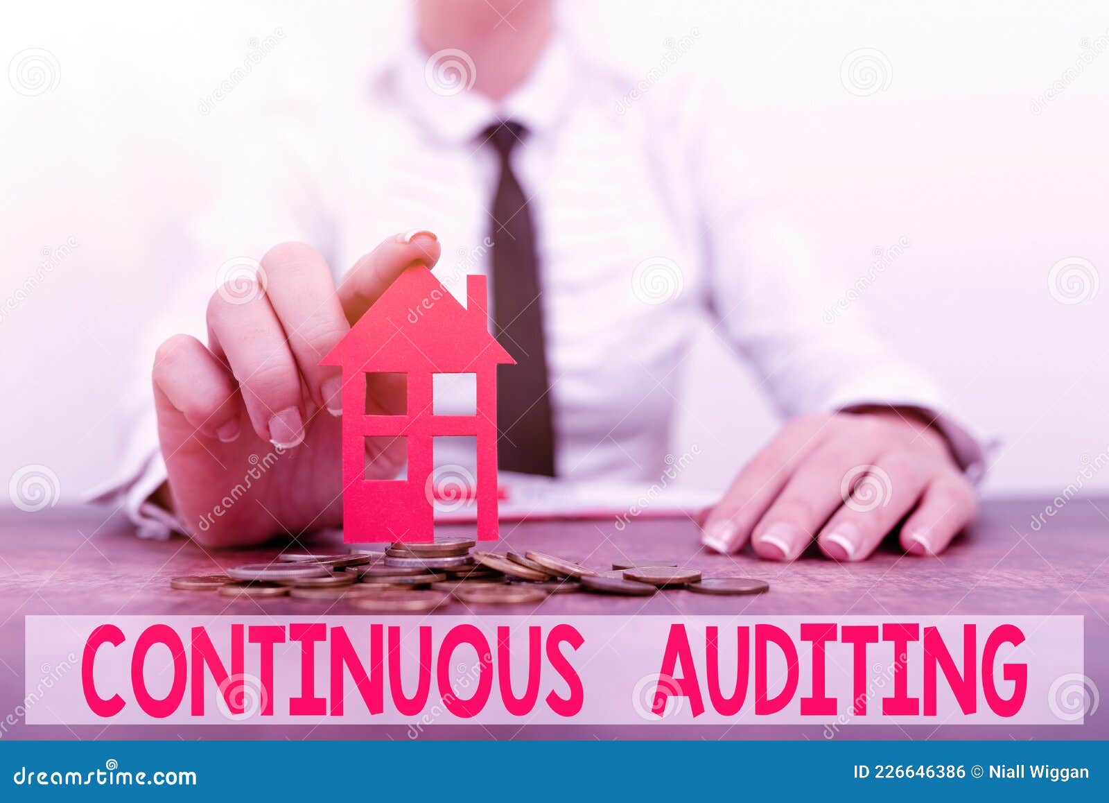 Handwriting Text Continuous Auditing. Concept Meaning Internal Process ...