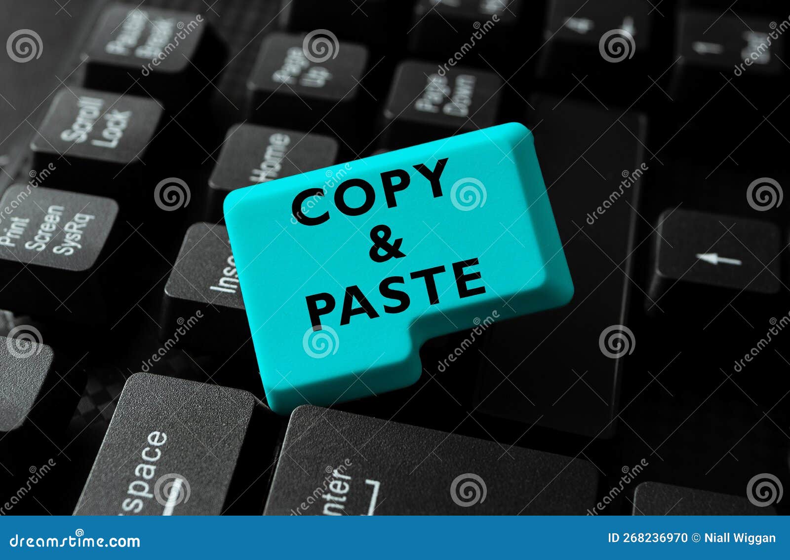 Handwriting Text Copy Paste. Business Overview an Imitation, Transcript ...