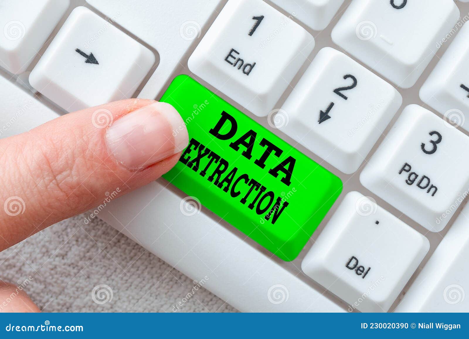 Handwriting Text Data Extraction. Business Overview Act or Process of ... Handwriting Text Data Extraction. Business Overview Act or Process of ...