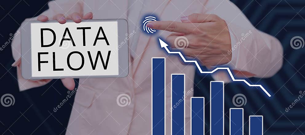 Conceptual Display Data Flow. Business Approach the Movement of Data ...