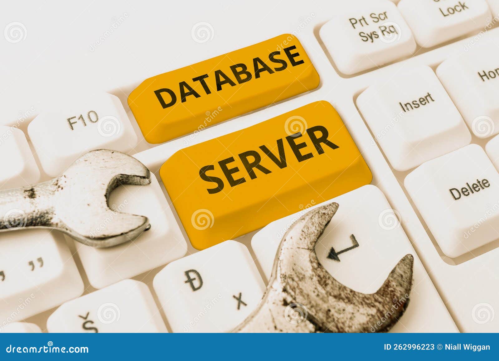 Handwriting Text Database Server Business Overview Uses A Database Application That Provides