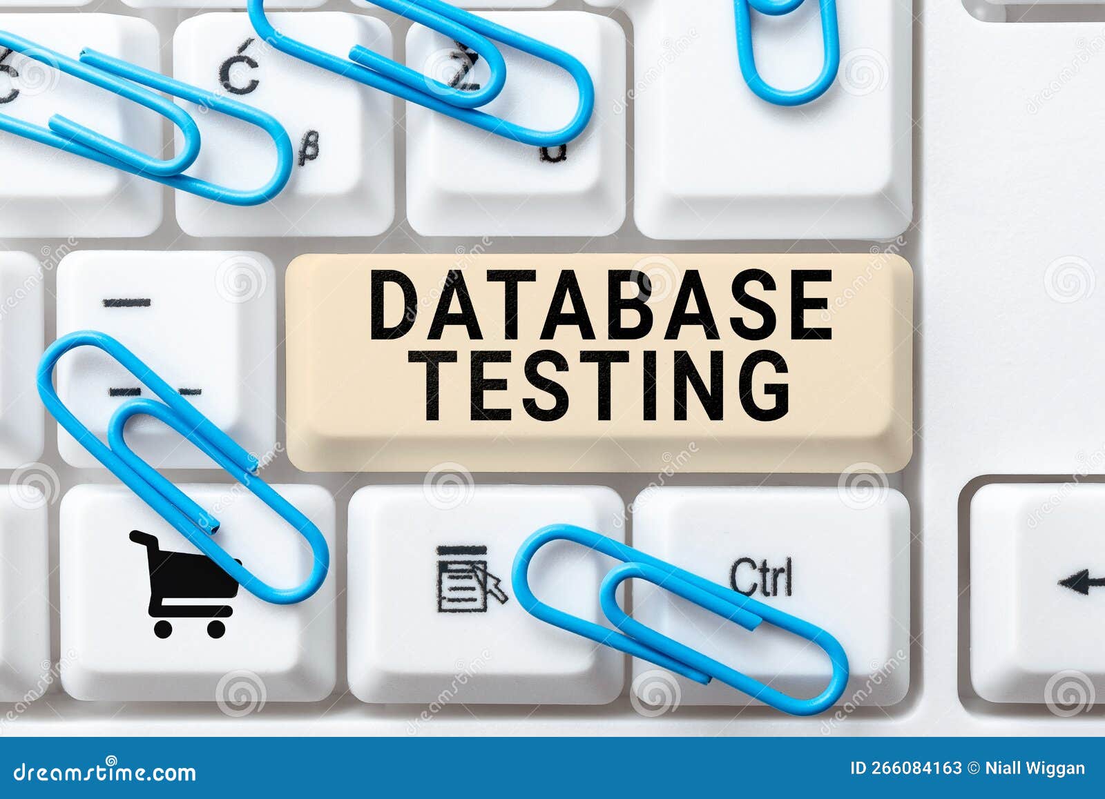 Handwriting Text Database Testing. Concept Meaning Involves the ...