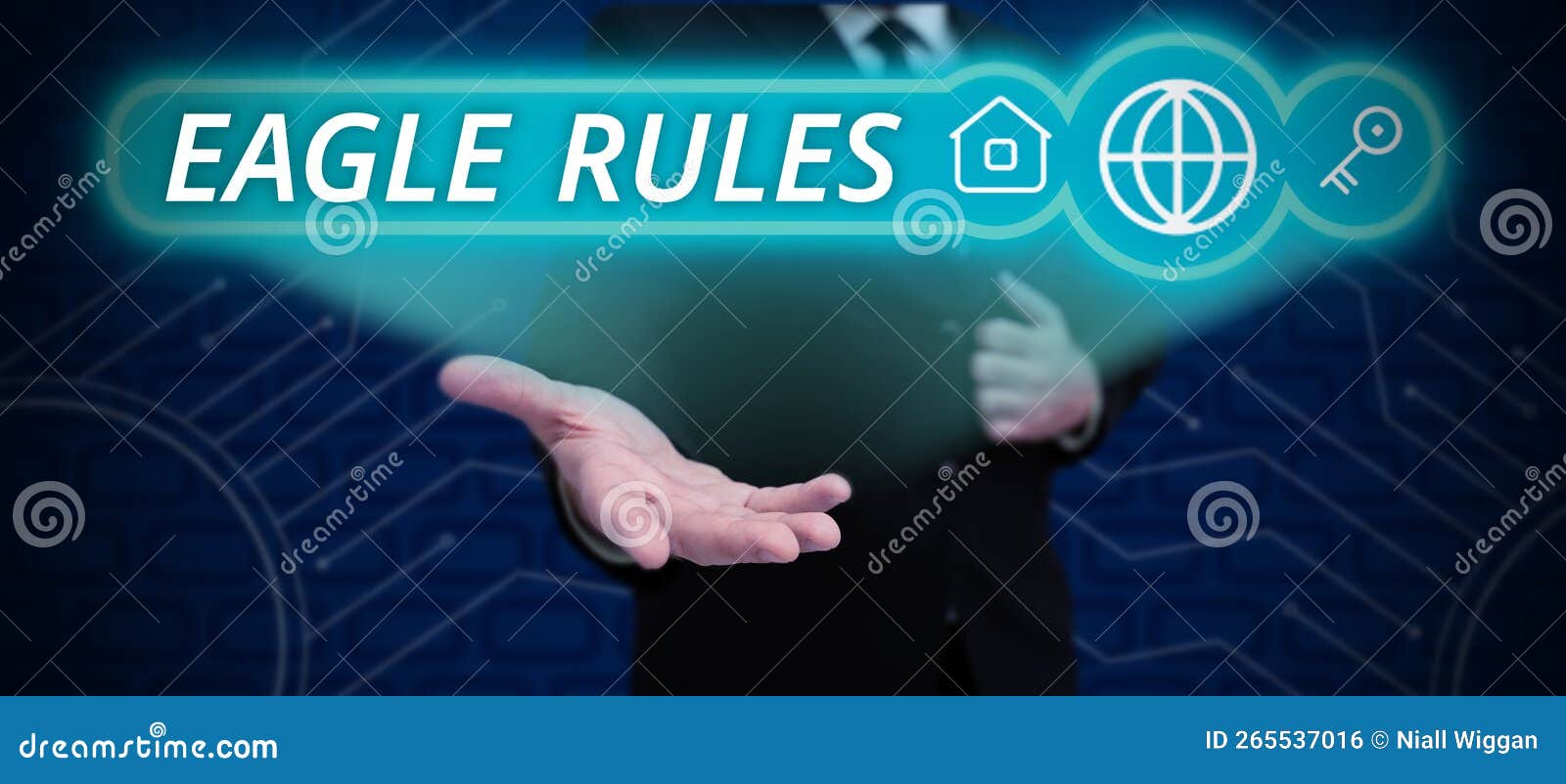 Writing Displaying Text Eagle Rules. Business Approach a Huge Set of ...