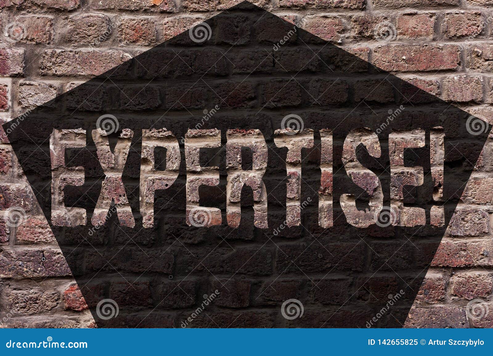 Handwriting Text Expertise. Concept Meaning Expert Skill or Knowledge ...