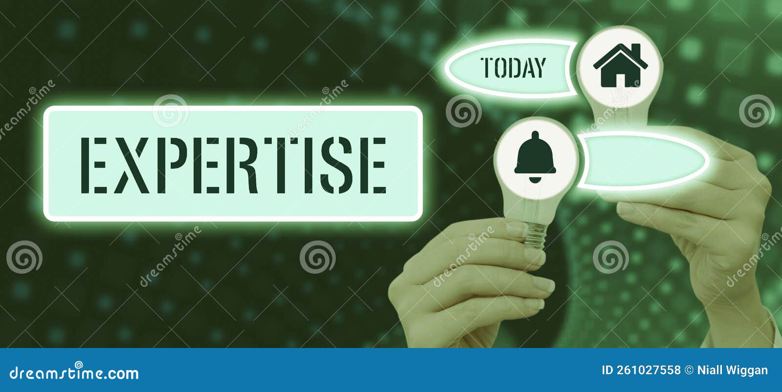 Text Sign Showing Expertise. Business Idea Specific Competences of ...