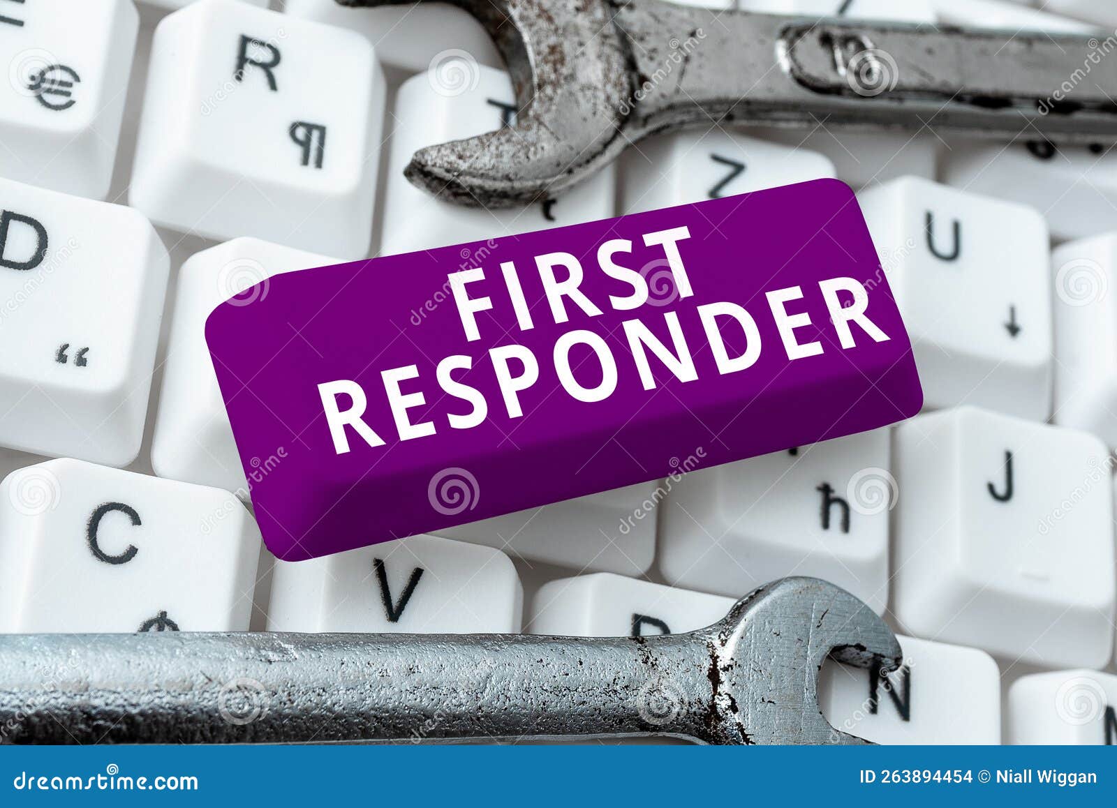 Conceptual Display First Responder. Concept Meaning a Person Who is ... Conceptual Display First Responder. Concept Meaning a Person Who is ...
