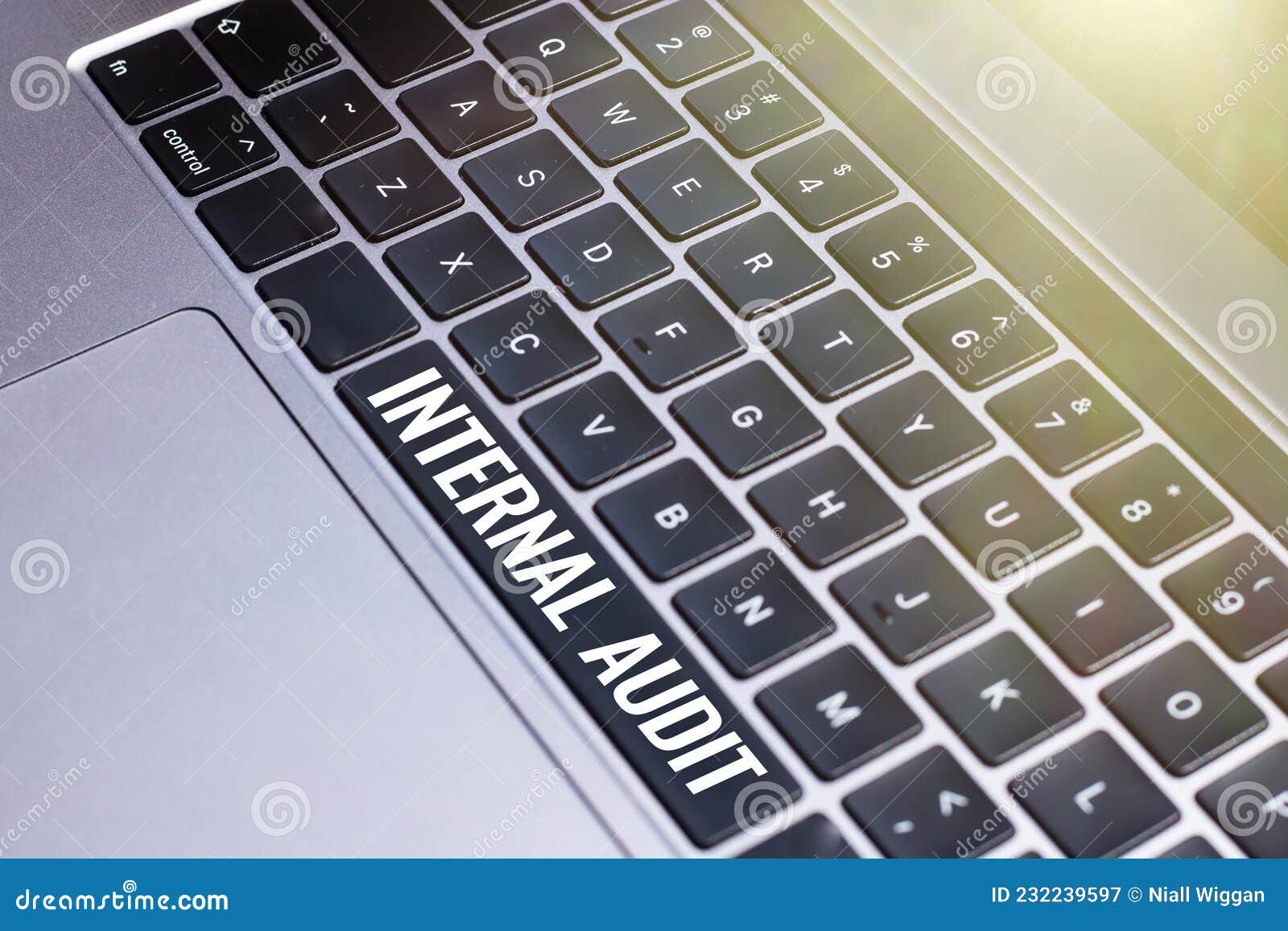 Text Caption Presenting Internal Audit. Business Overview Evaluates the ...