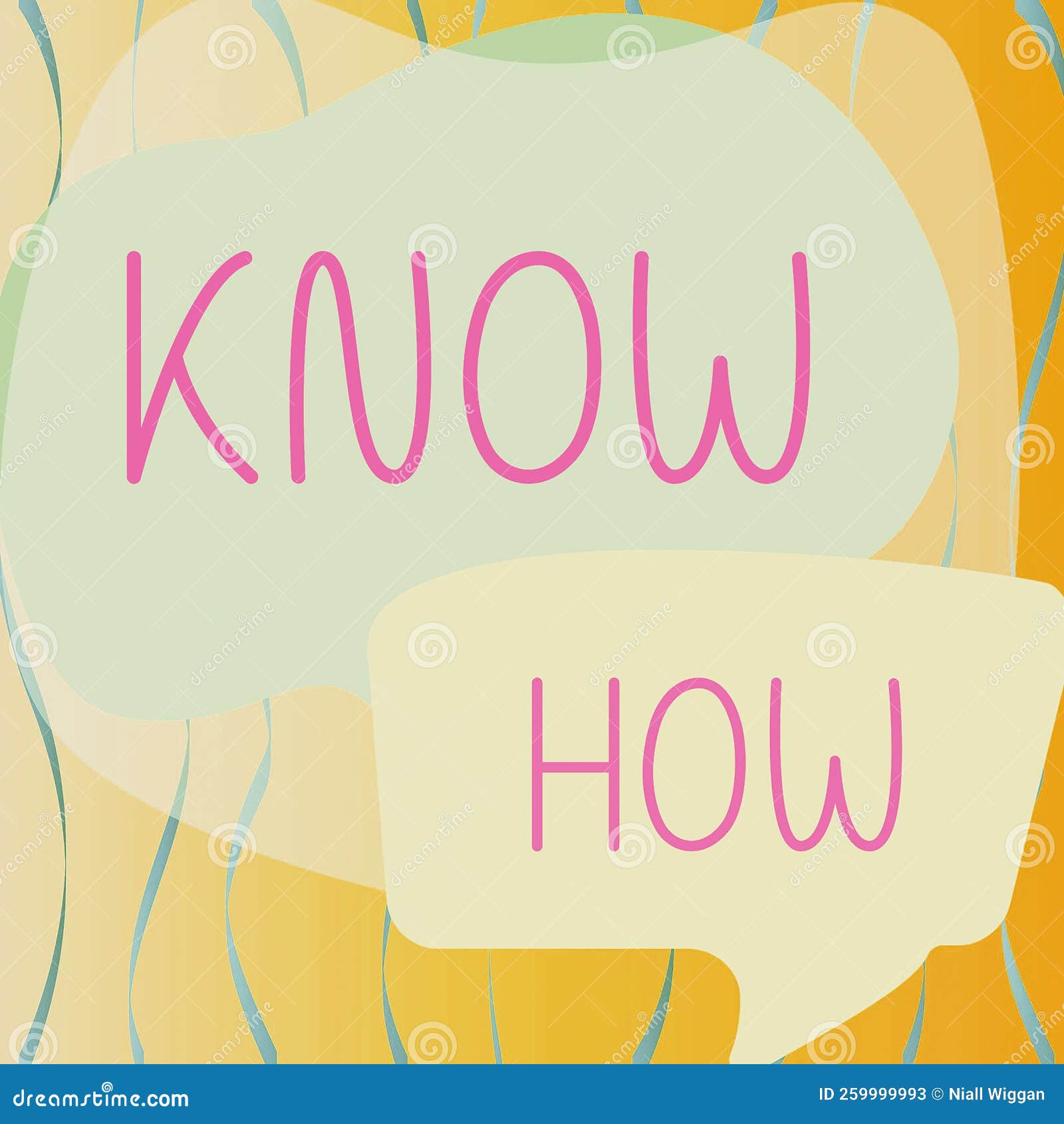 Conceptual Caption Know How. Business Overview the Process To Learn of ... Conceptual Caption Know How. Business Overview the Process To Learn of ...