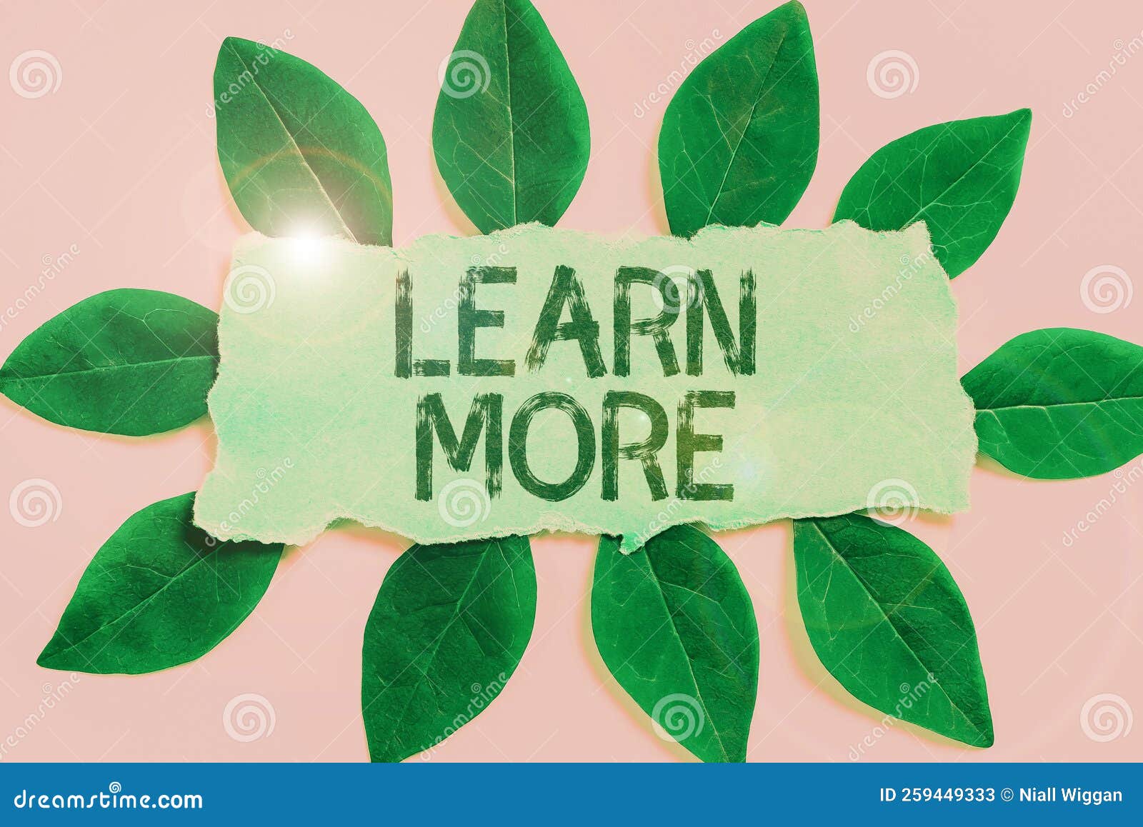 Handwriting Text Learn More. Business Idea Deepen Knowledge of the ... Handwriting Text Learn More. Business Idea Deepen Knowledge of the ...