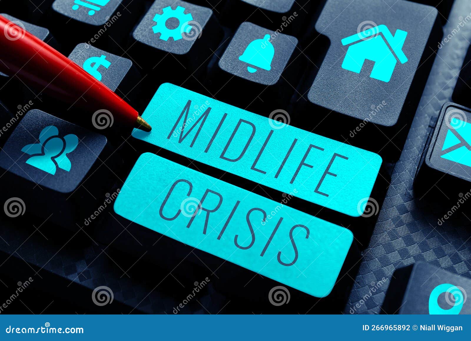 Handwriting Text Midlife Crisis. Business Idea Software Development ...