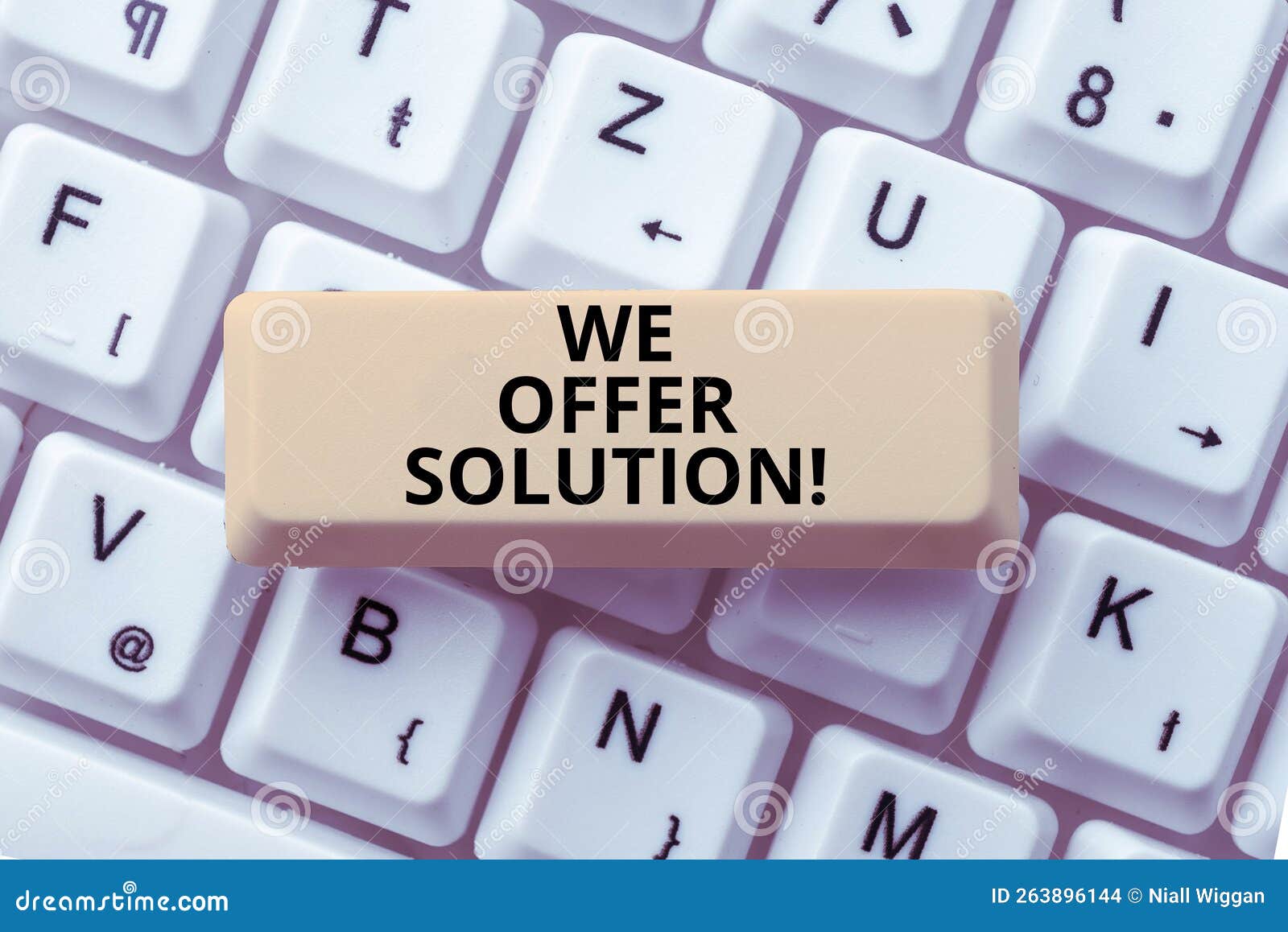 Conceptual Display we Offer Solution. Business Overview Give Means of ...