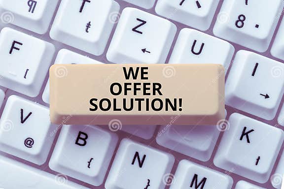 Conceptual Display we Offer Solution. Business Overview Give Means of ...