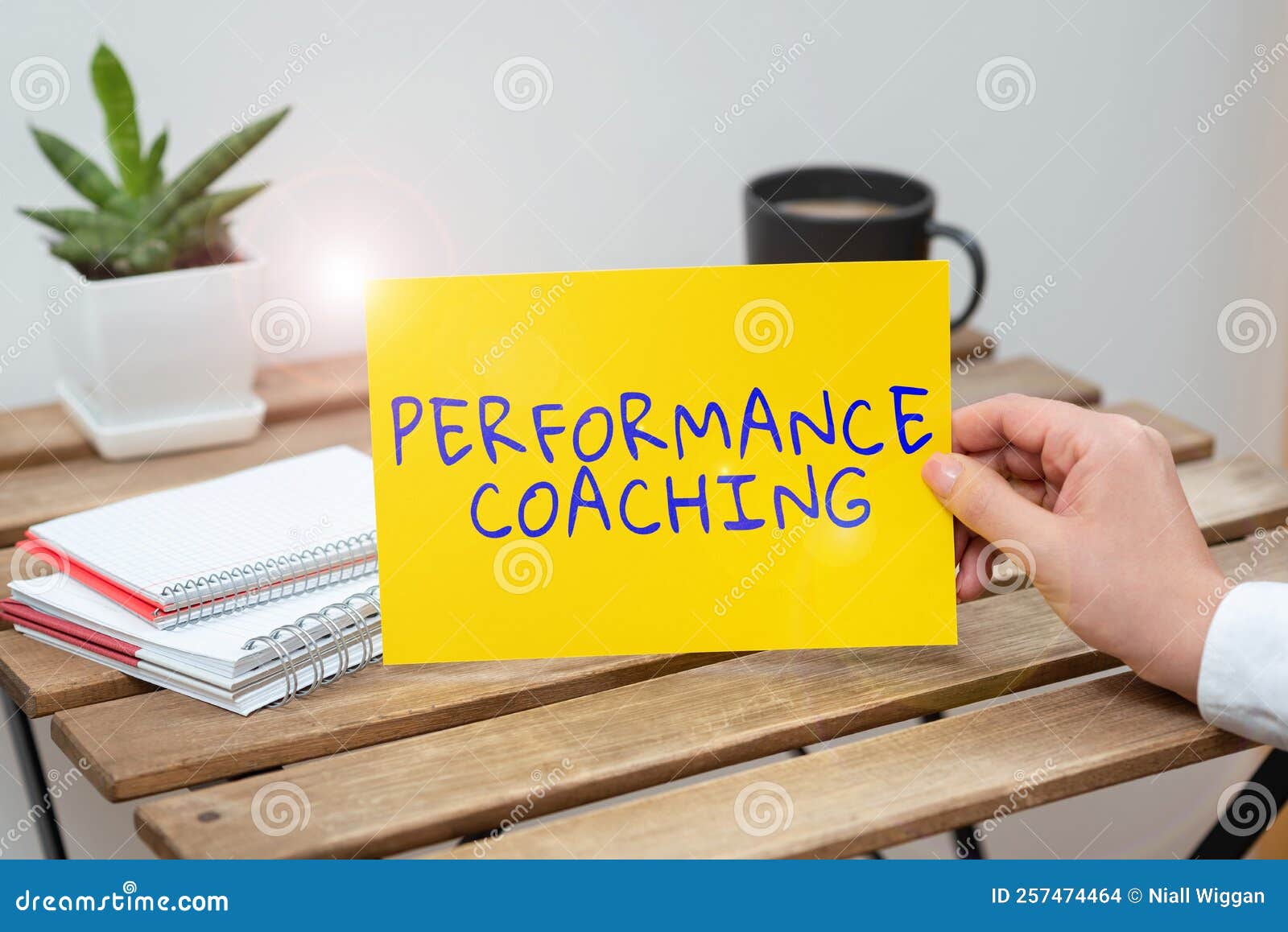Conceptual Caption Performance Coaching. Internet Concept Facilitate ...