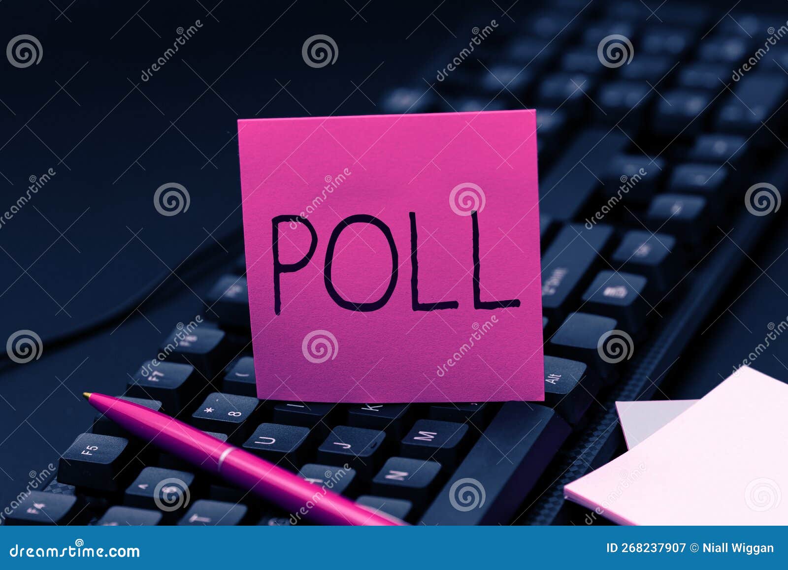 Text Caption Presenting Poll. Business Showcase Record of the Number of ...