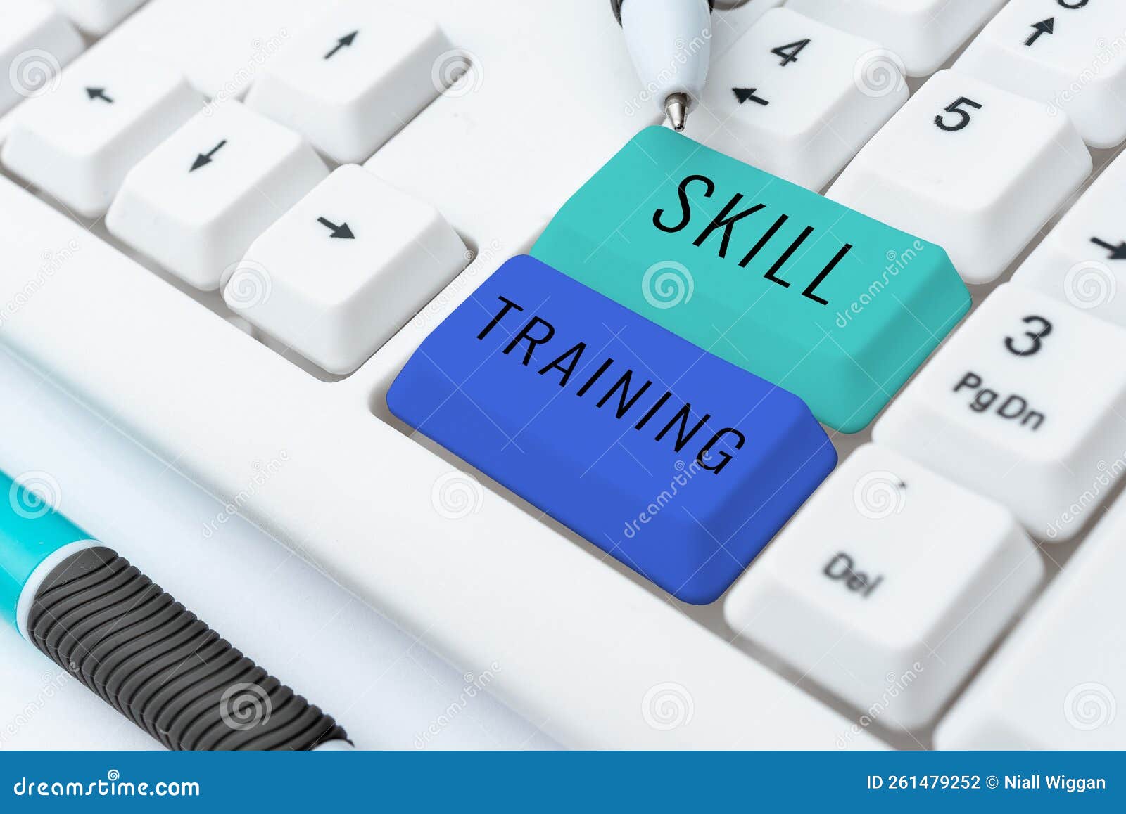 Text Sign Showing Skill Training. Business Idea Designed To Gain and ...