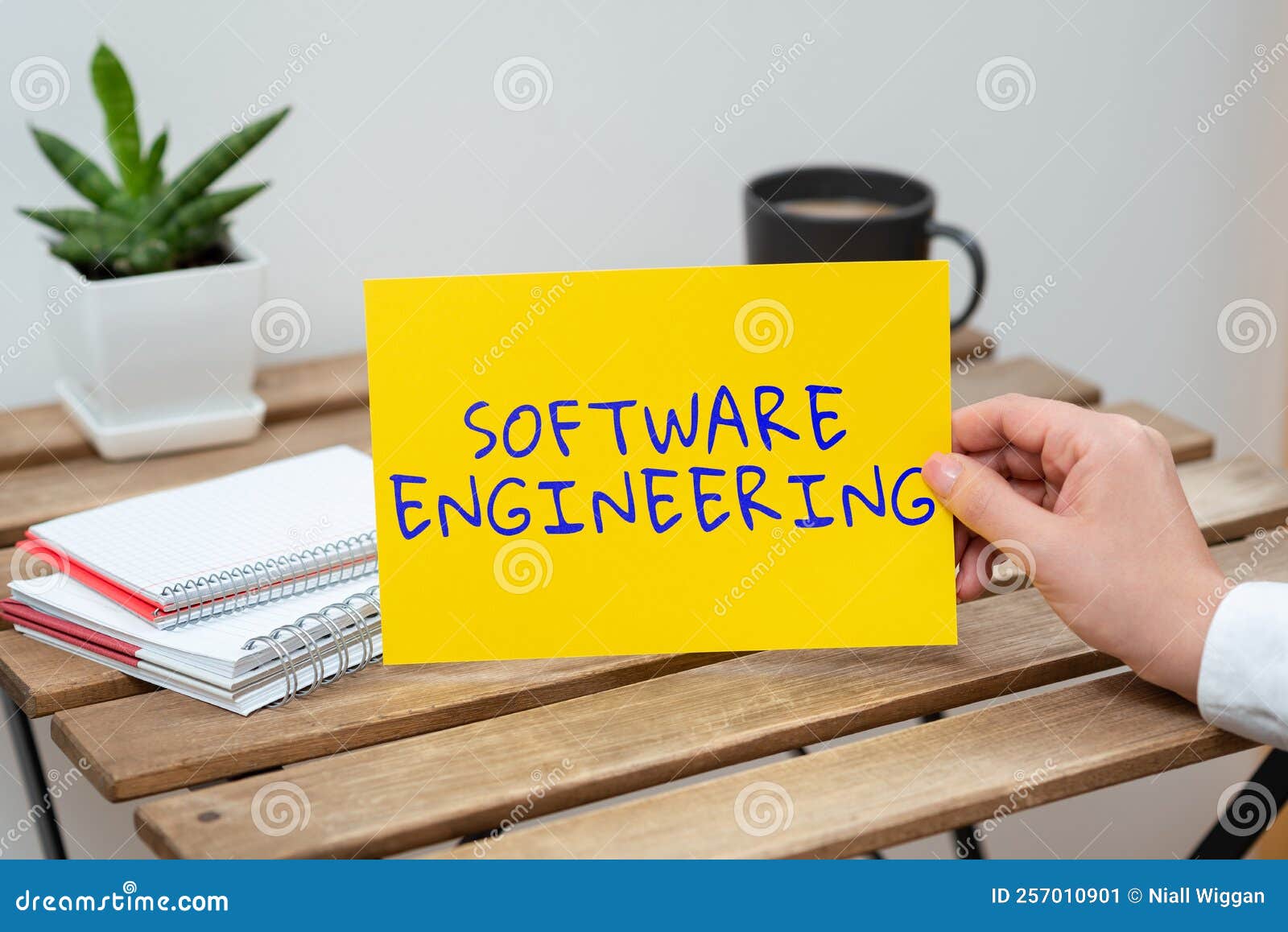 Writing Displaying Text Software Engineering. Business Concept Program ...