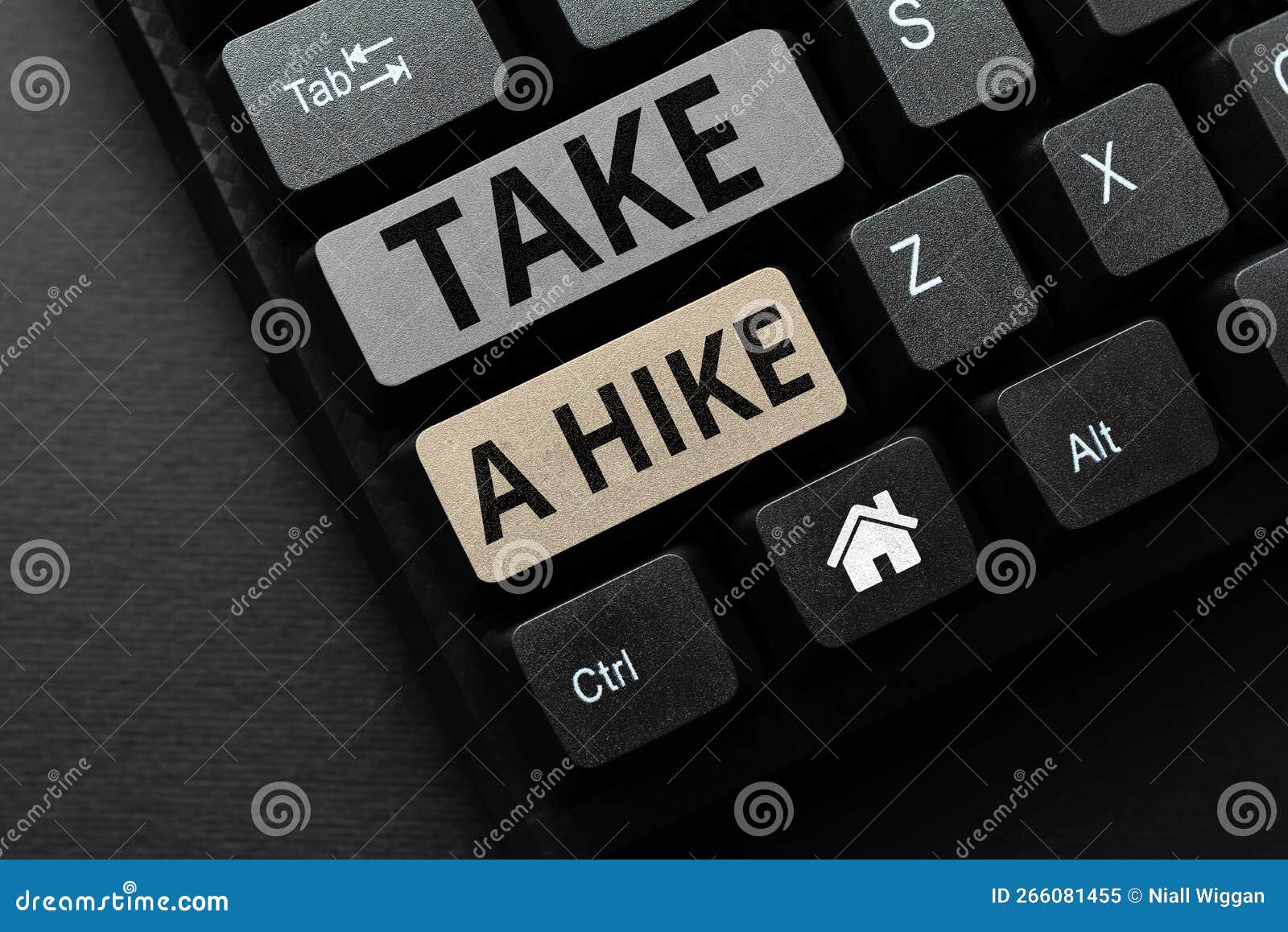 Text Sign Showing Take a Hike. Business Showcase Go on an Adventure ... Text Sign Showing Take a Hike. Business Showcase Go on an Adventure ...