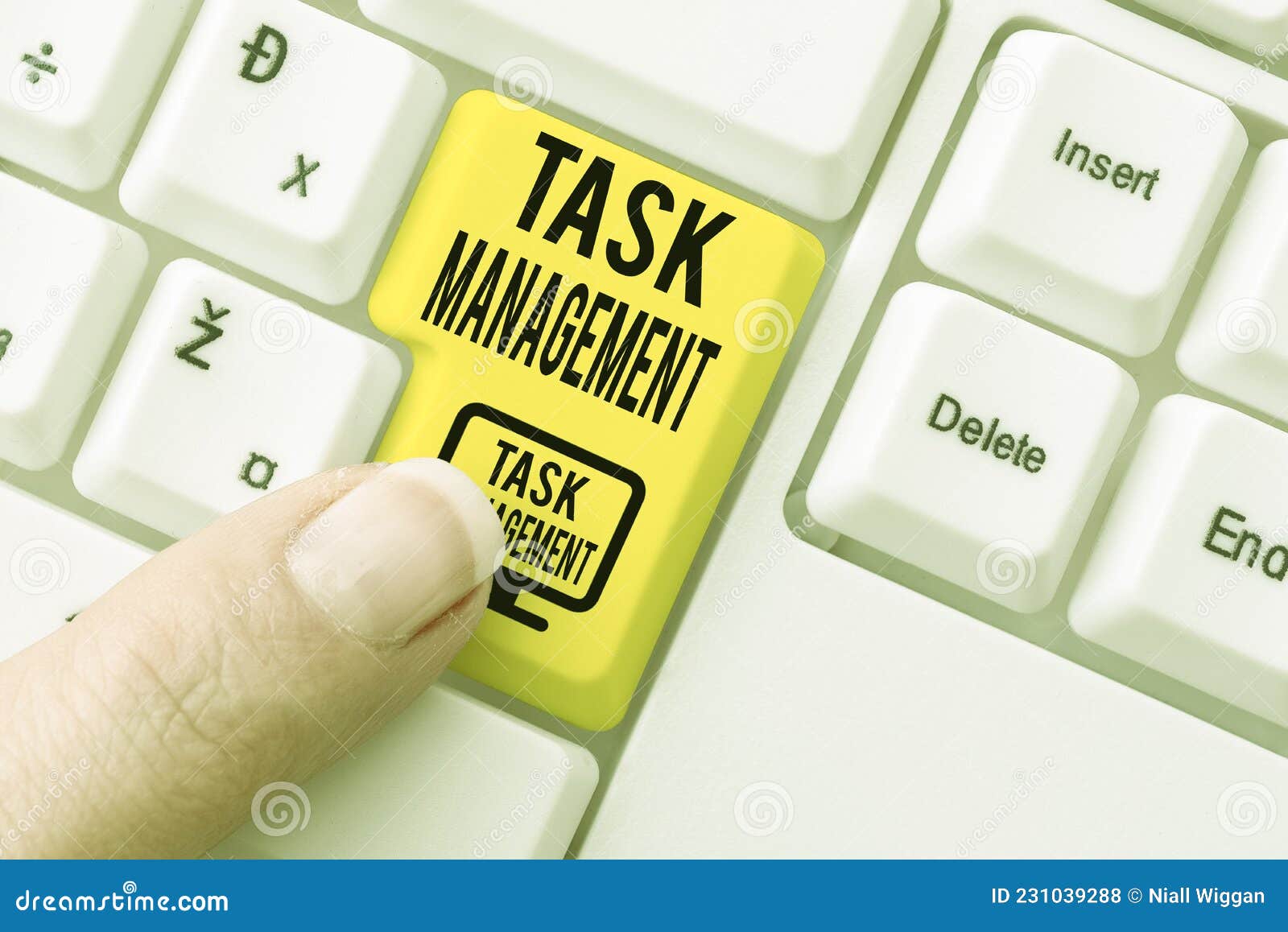 Text Showing Inspiration Task Management. Business Concept the Process ...