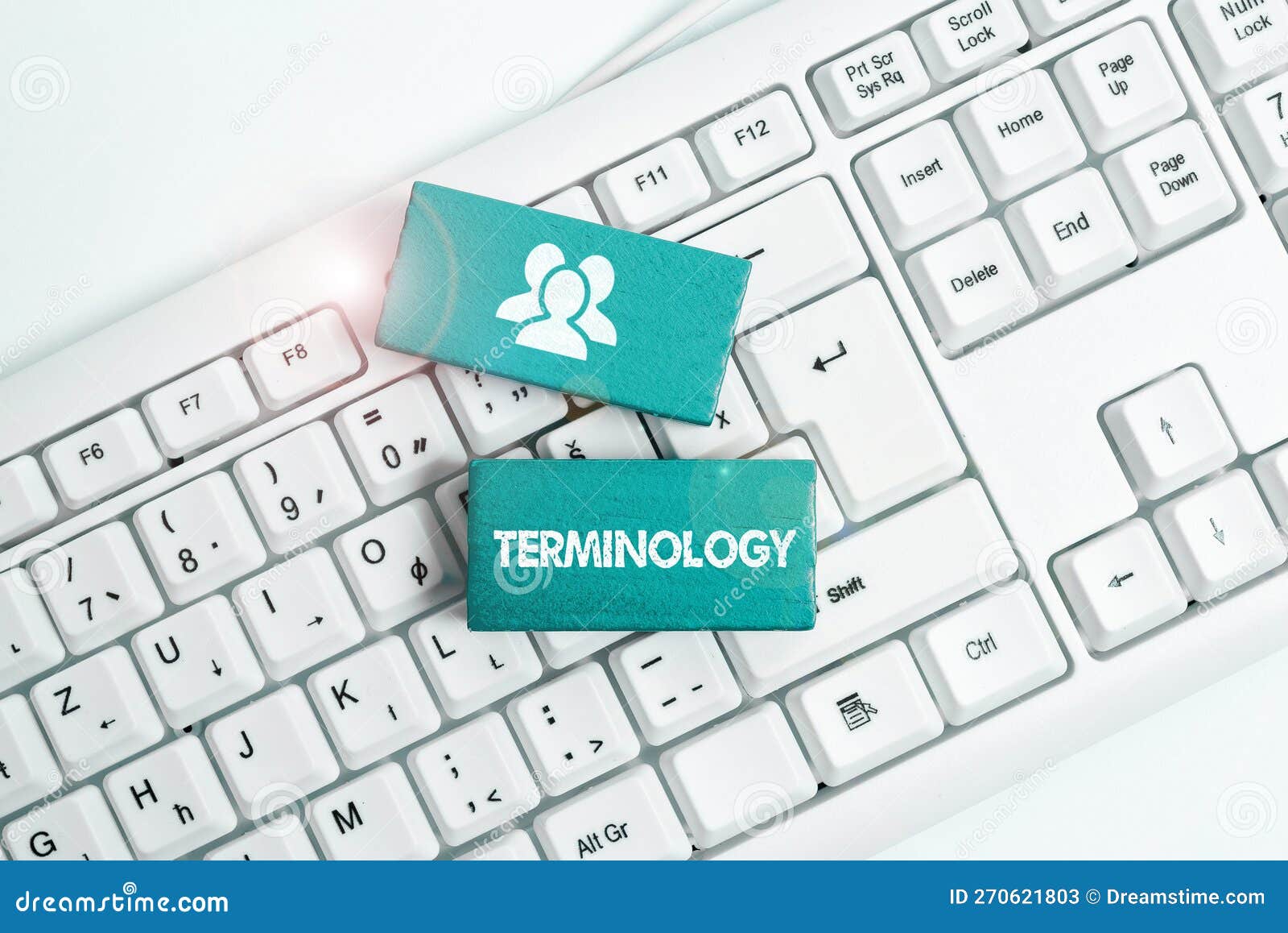 Text Showing Inspiration Terminology. Business Overview Terms Used with ...