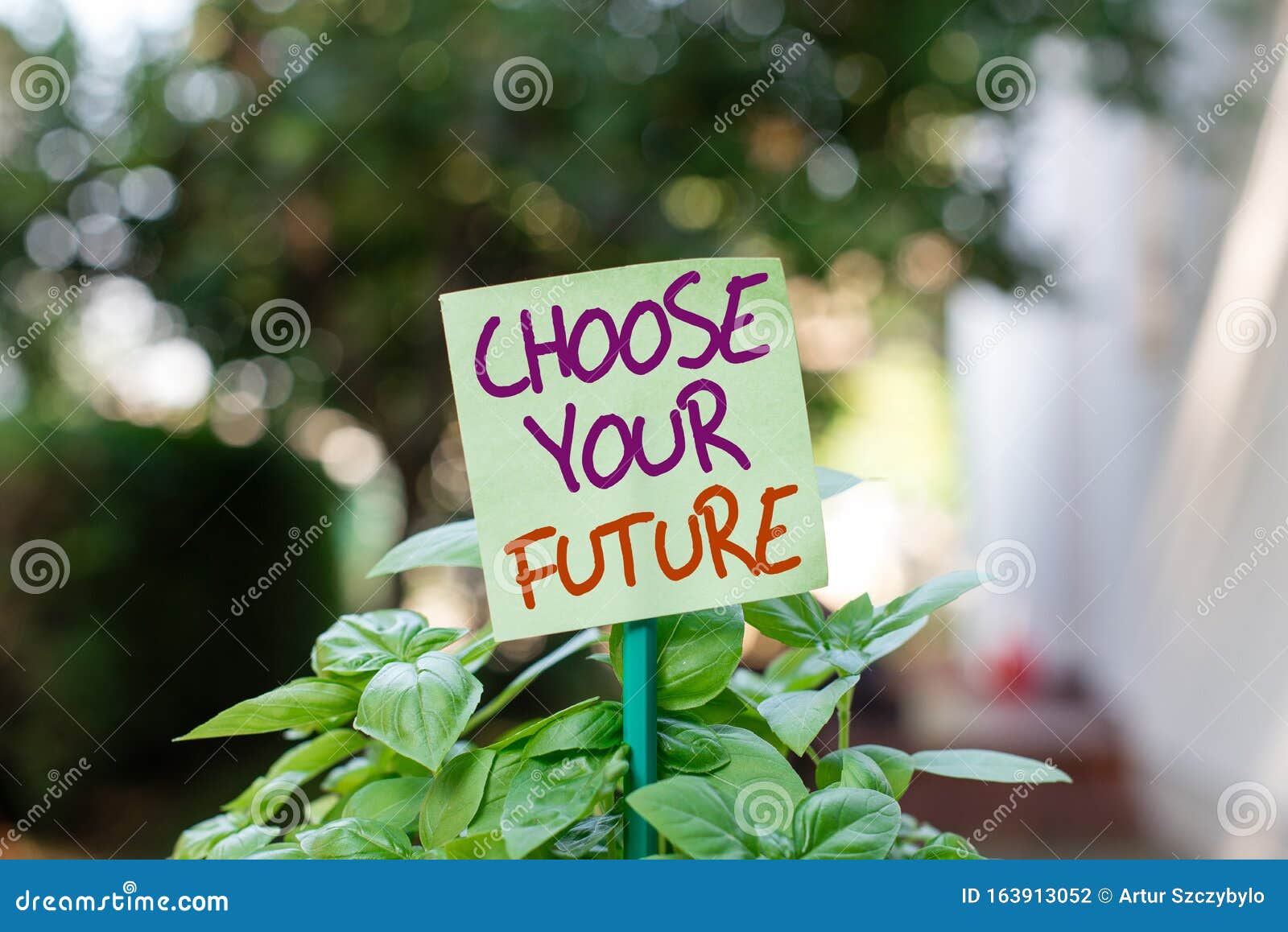 Handwriting Text Writing Choose Your Future. Concept Meaning Choices ...