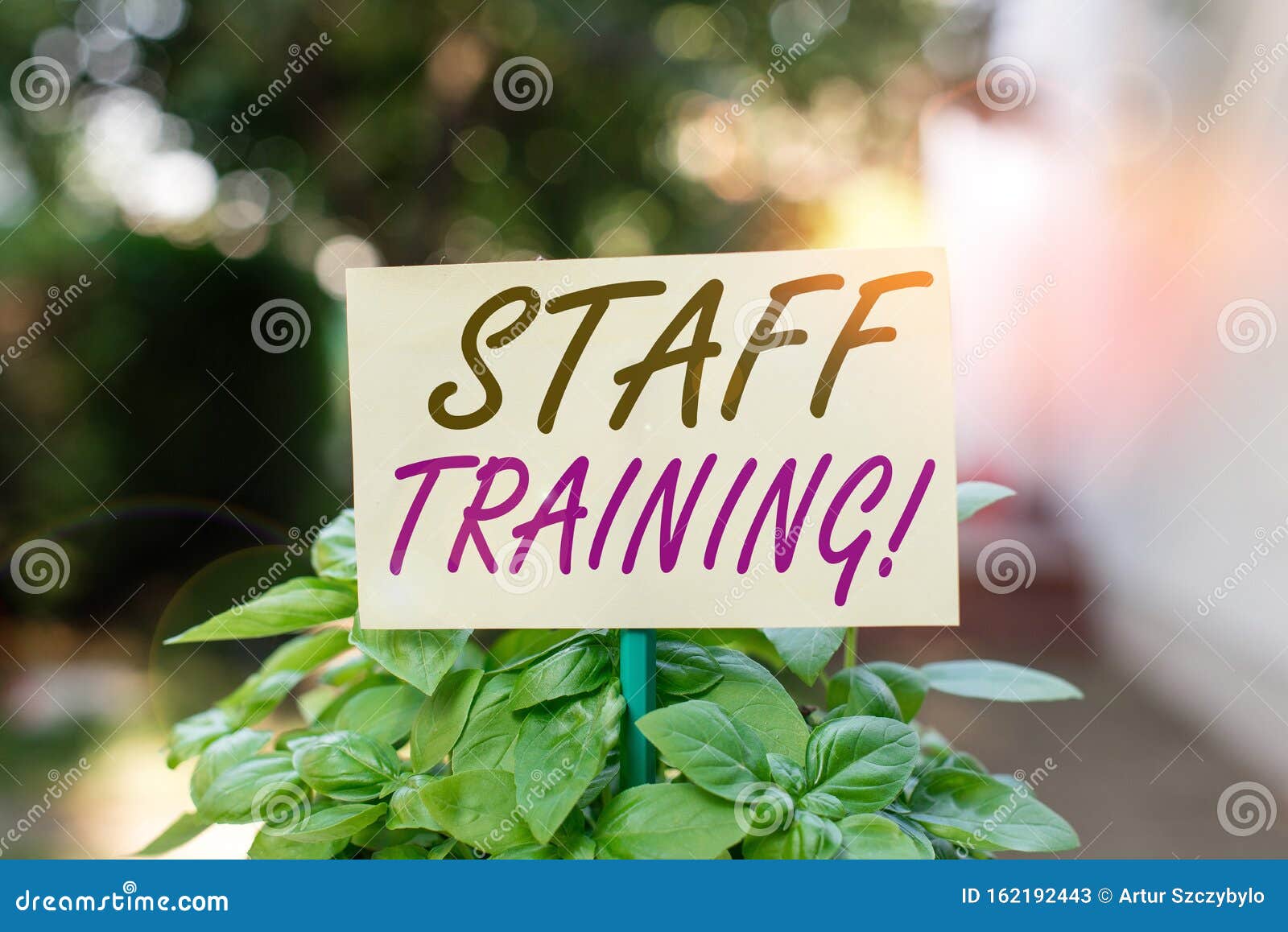 Handwriting Text Writing Staff Training. Concept Meaning Learn Specific ...