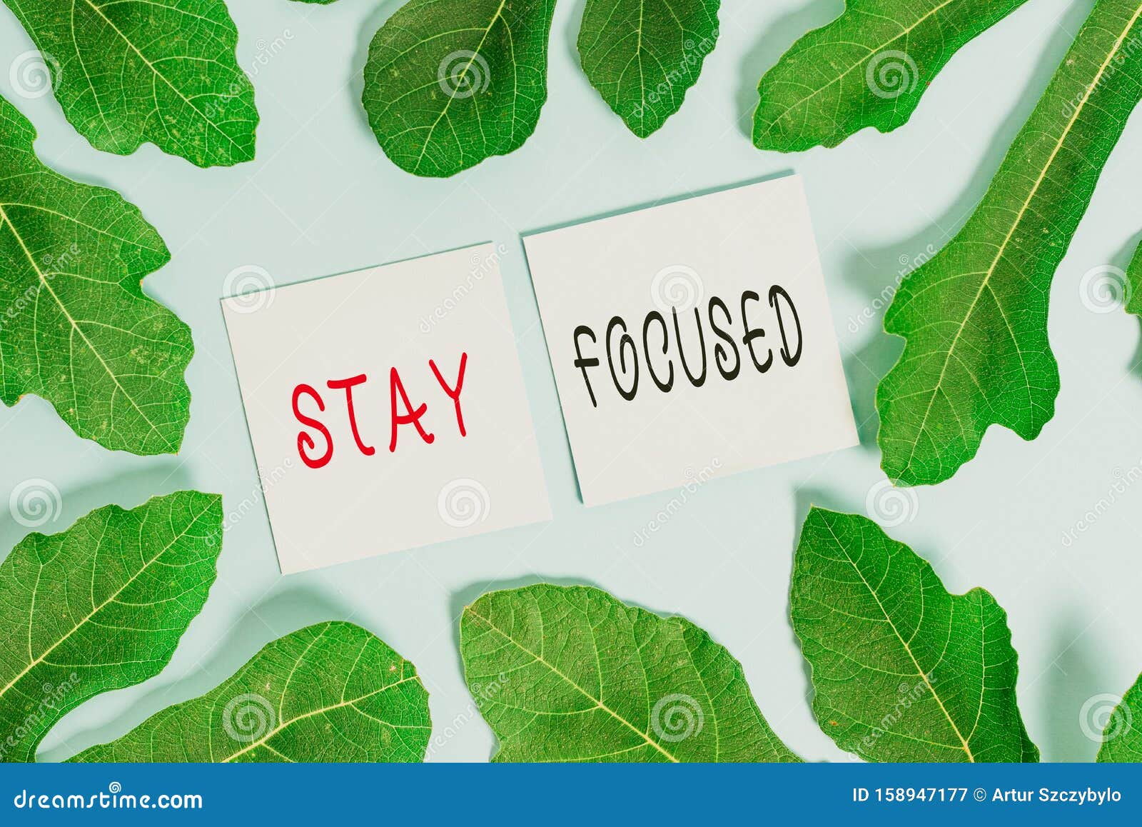 Handwriting Text Writing Stay Focused. Concept Meaning Be Attentive ...