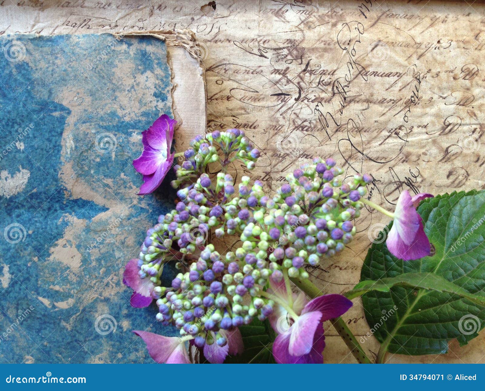 Handwriting from 18th Century with Flowers and Book Stock Image - Image ...