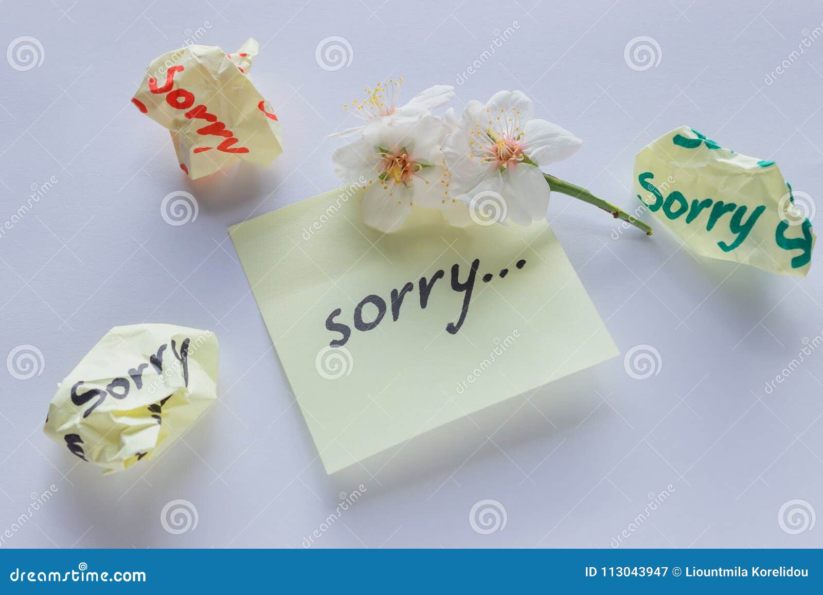Handwritten Note - I`m Sorry. Small Delicate White Flowers of Al Stock ...