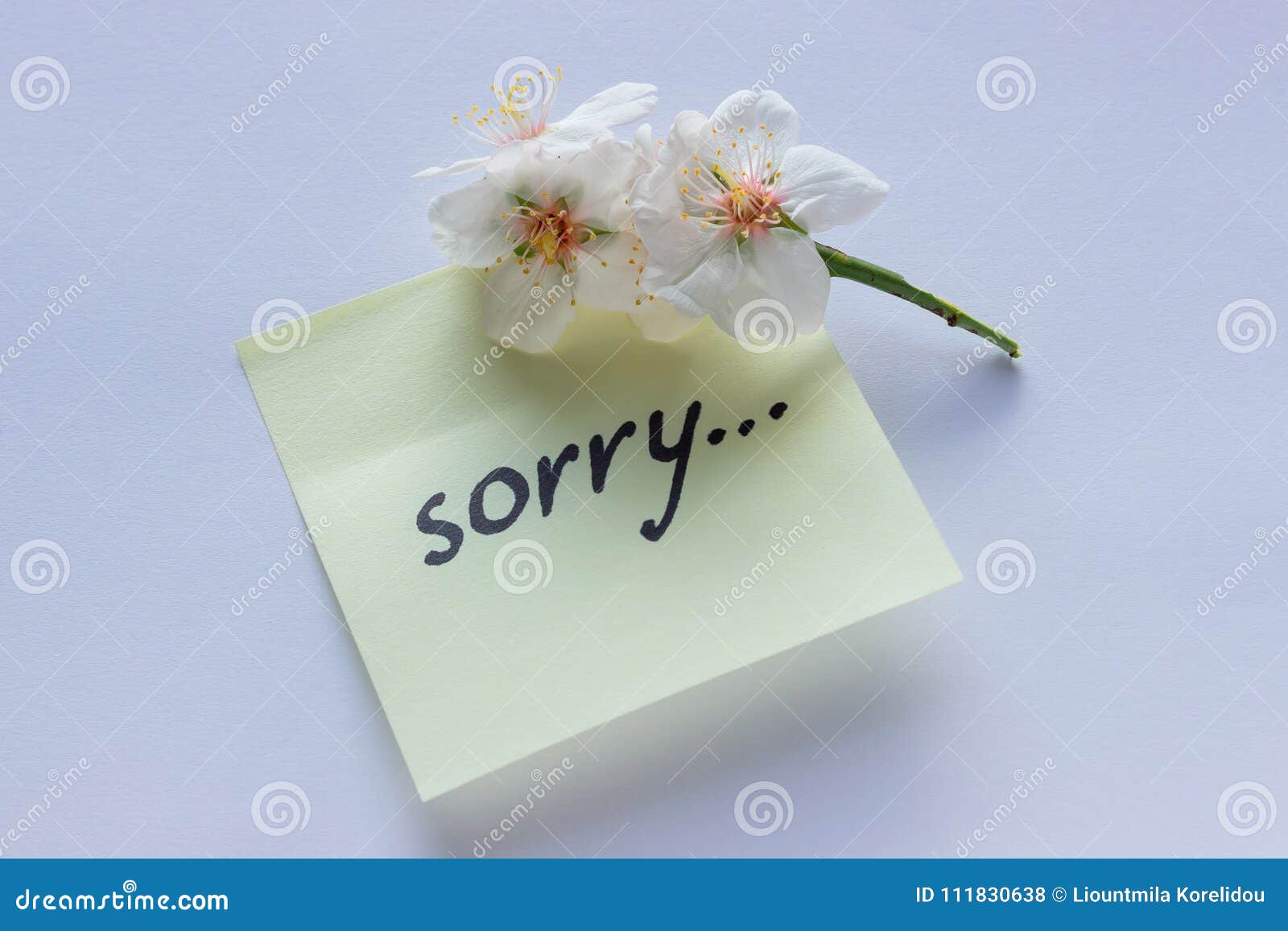 Handwritten Note - Sorry. Small Delicate White Flowers of Almon Stock ...