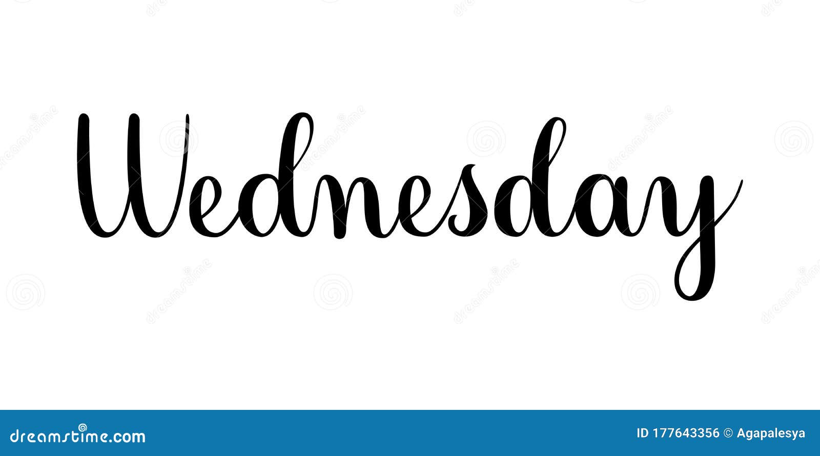 Handwritten Wednesday. Vector Text Element Isolated on White Background ...