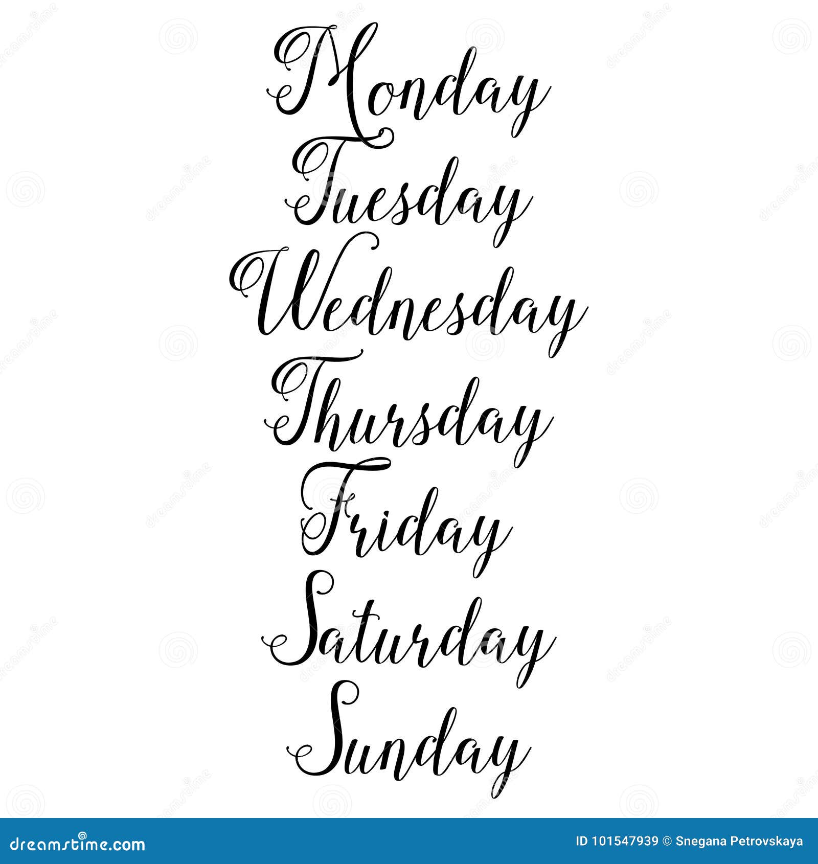 Handwritten Week Days. Modern Brush Calligraphy Stock Illustration ...