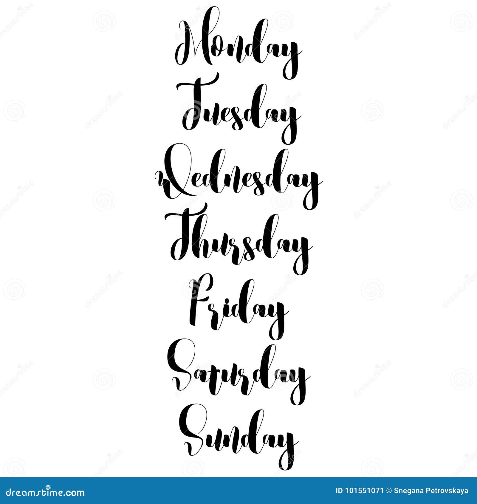 Handwritten Week Days. Modern Brush Calligraphy Stock Illustration ...
