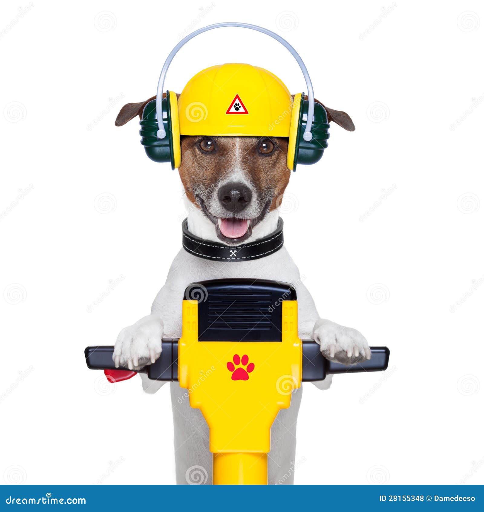 Handyman dog worker stock photo. Image of animal, puppy - 28155348