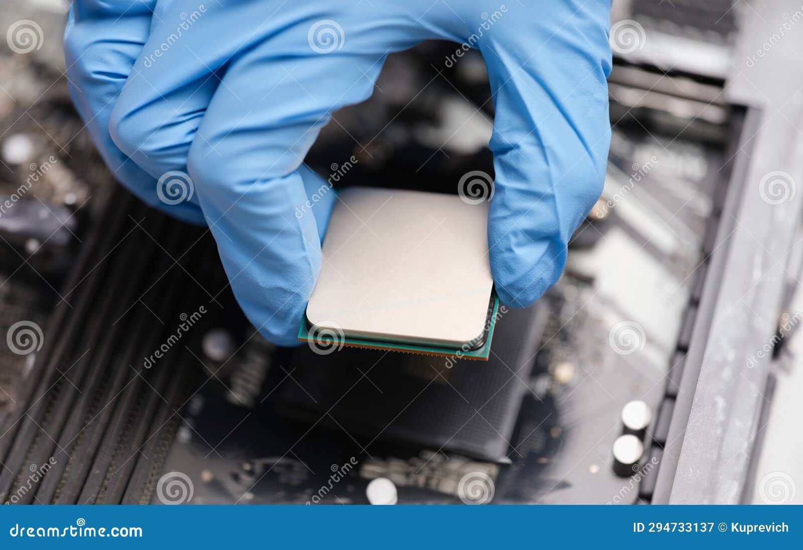 Handyman in Rubber Gloves Installing Computer Processor Closeup Stock ...