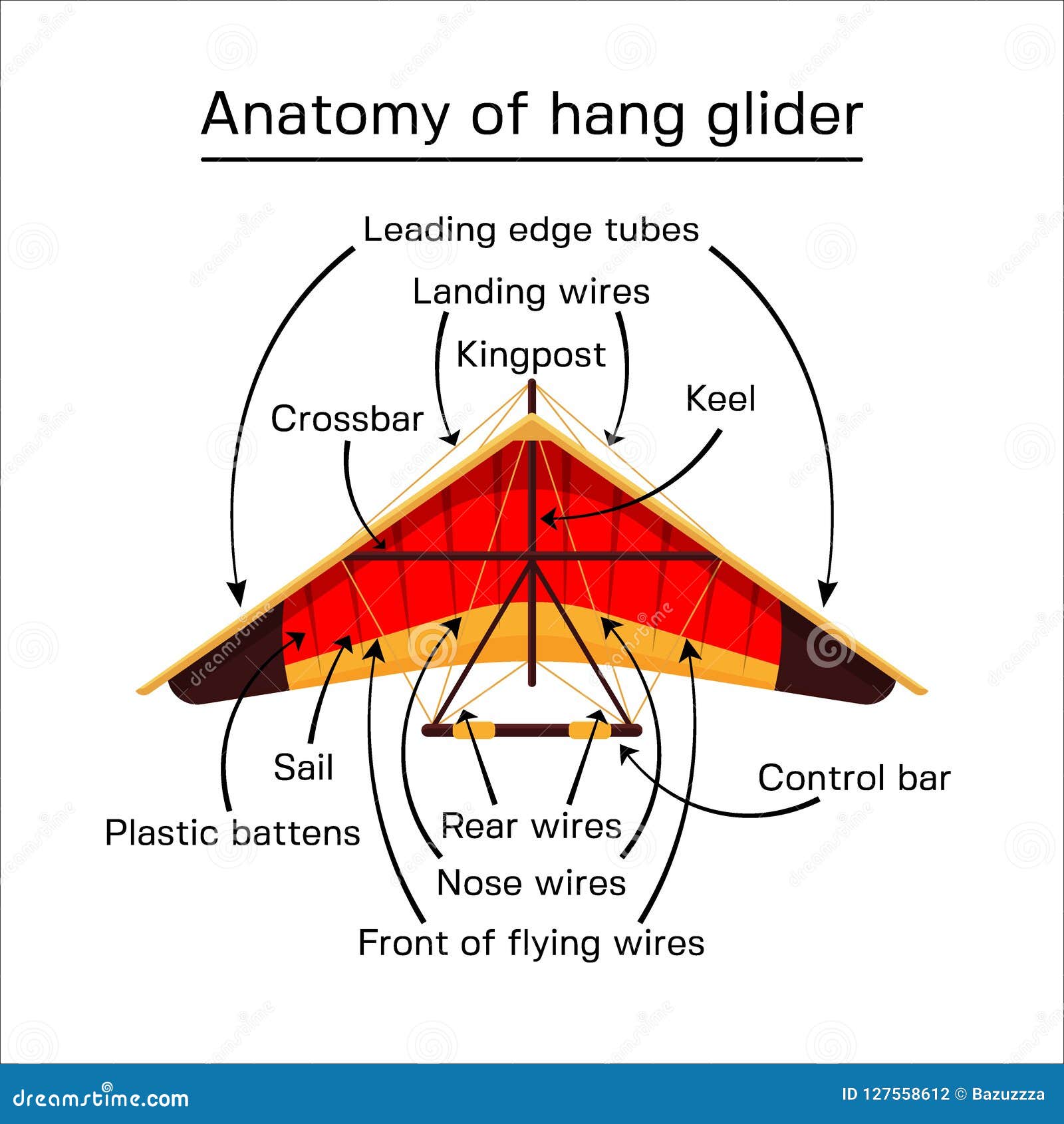 Hang Glider Anatomy Vector Flat Style Illustration | CartoonDealer.com ...