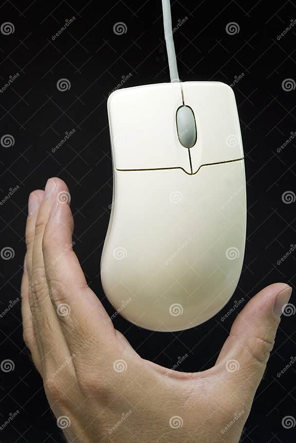 Hang mouse on hand stock photo. Image of office, technology - 3419010