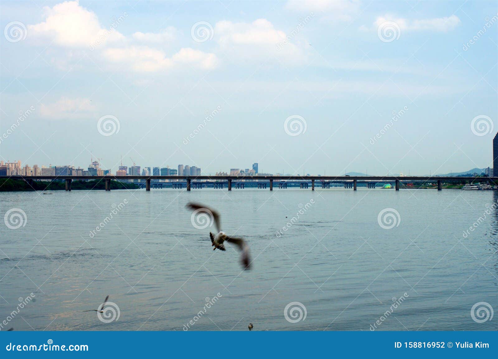 Hang River in Seoul in the Evening Stock Photo - Image of river ...