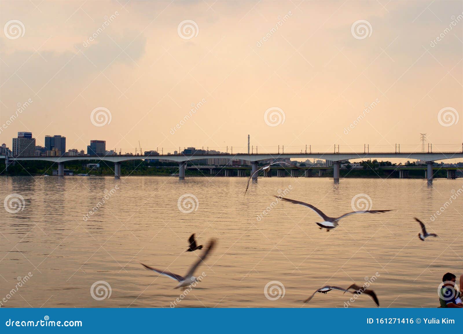 Hang River in Seoul in the Evening Stock Photo - Image of attraction ...