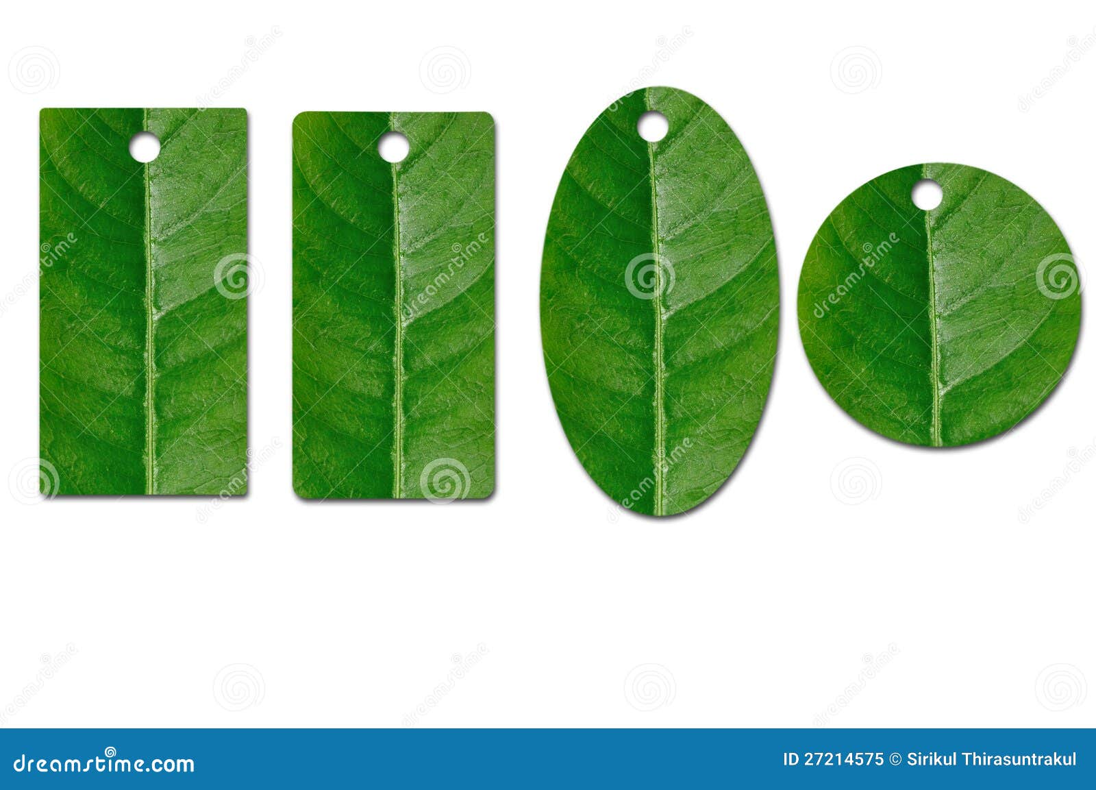 Hang tag by green leaf stock image. Image of price, development - 27214575
