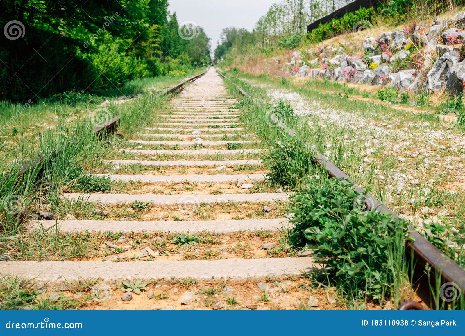 Hangdong Railroad at Spring in Seoul, Korea Stock Photo - Image of ...