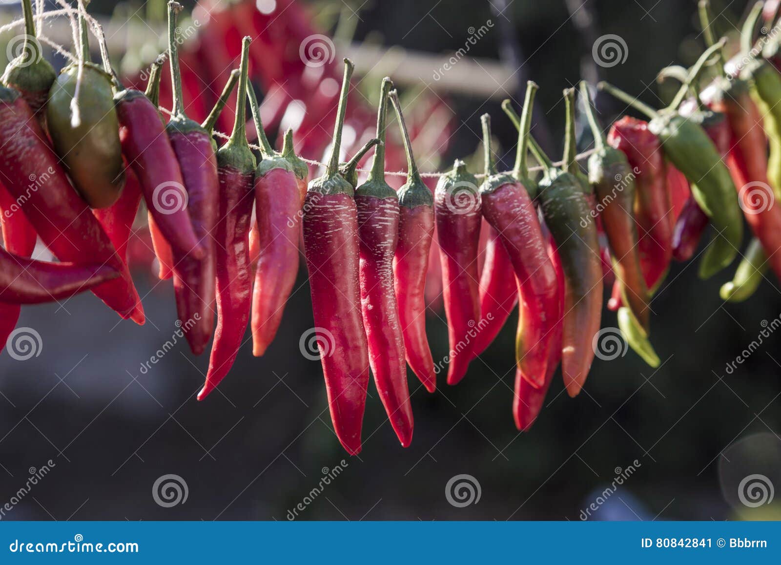 Hanged Fresh Red Pepers To Dry Stock Image - Image of turkish, market ...