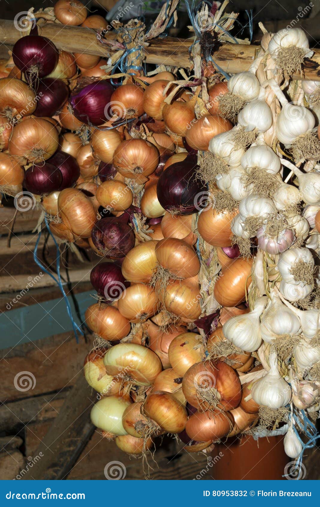 Hangend Gewas Van Rode En Gele Ui En Wit Knoflook Stock Foto - Image of ...