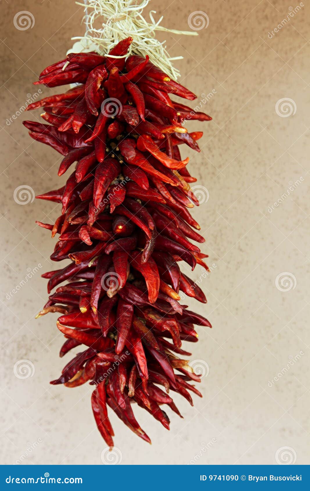 Hangende Bundel Van De Rode Peper Van De Spaanse Peper Stock Foto ...