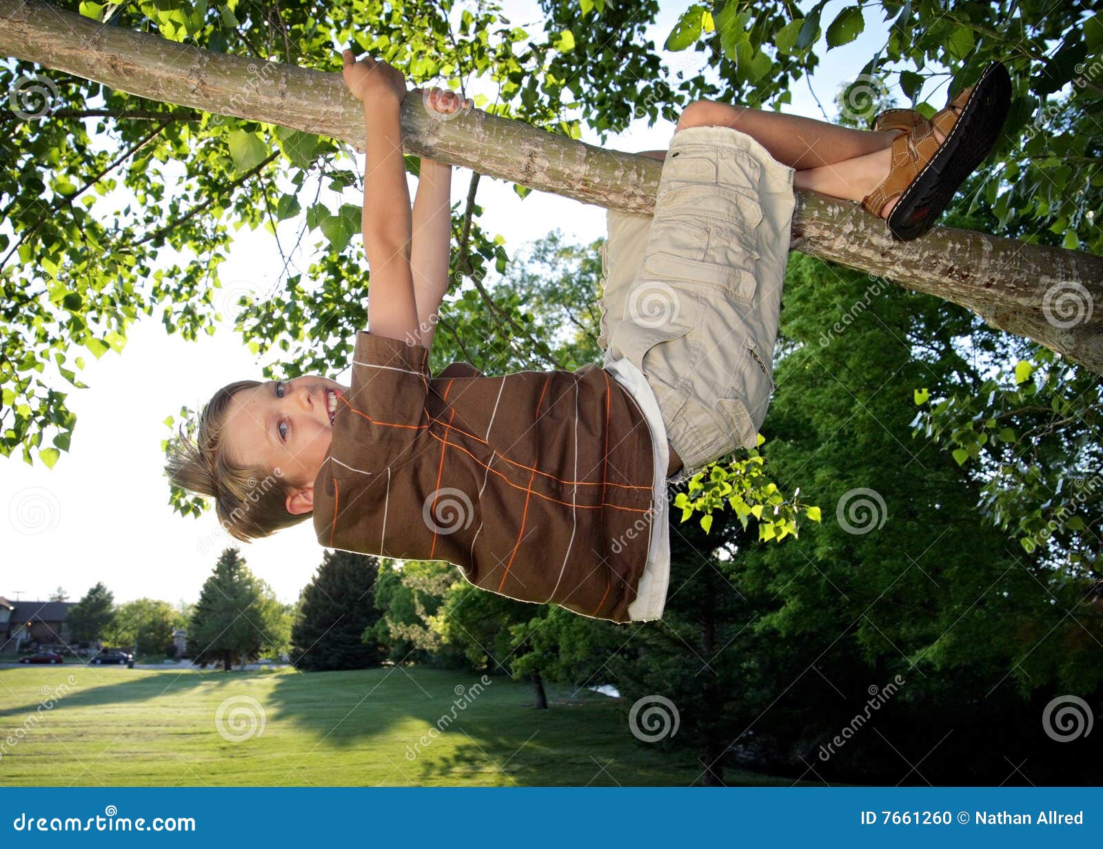 Hanging stock photo. Image of child, cheerful, branches - 7661260